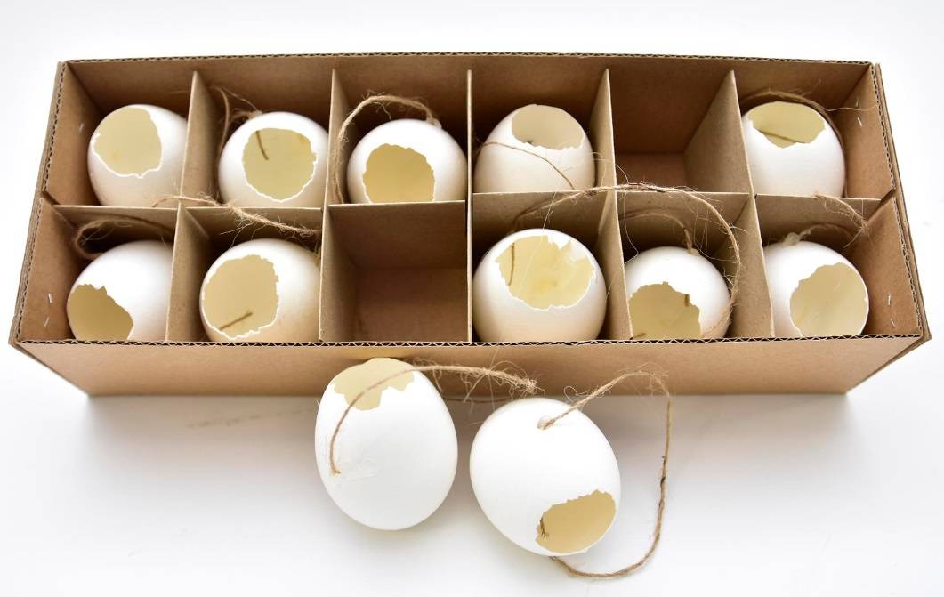 Kippenei wit 12 stuks
